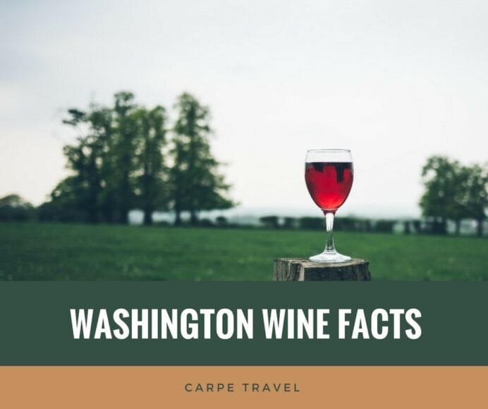 What every wine lover should know about Washington wine & its history