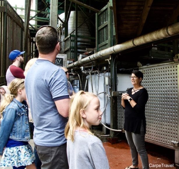 You Can Go Wine Tasting with Kids…With a Little Planning