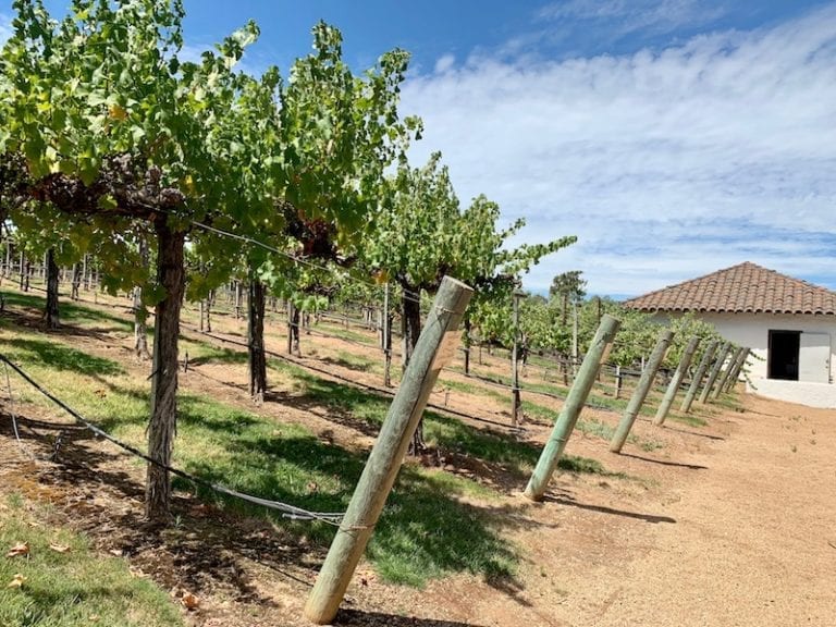 How Uber Wine ACTUALLY Worked When Put to the Test