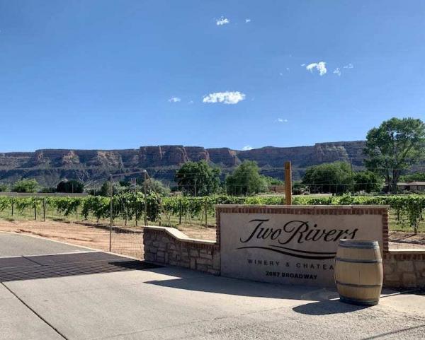 8 Palisade Wineries to Uncork - The Best Wineries in Palisade CO