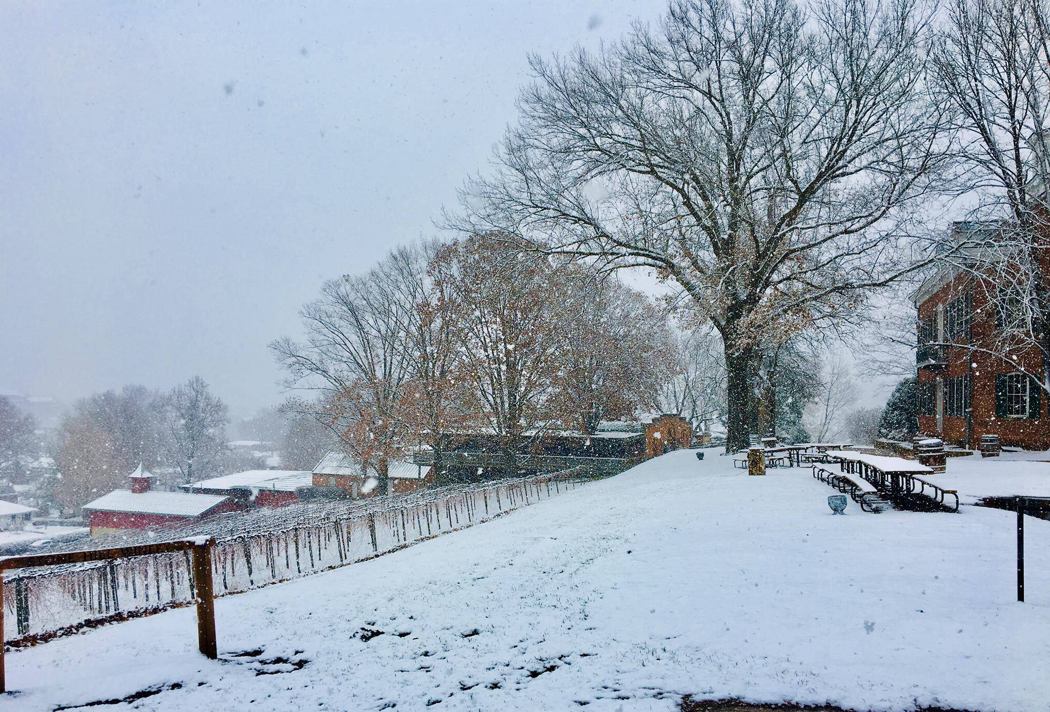 Winter Wineries To Sip In - Winter Wine Tasting