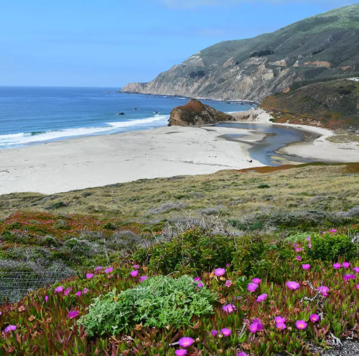 15 Things to know about Monterey, CA