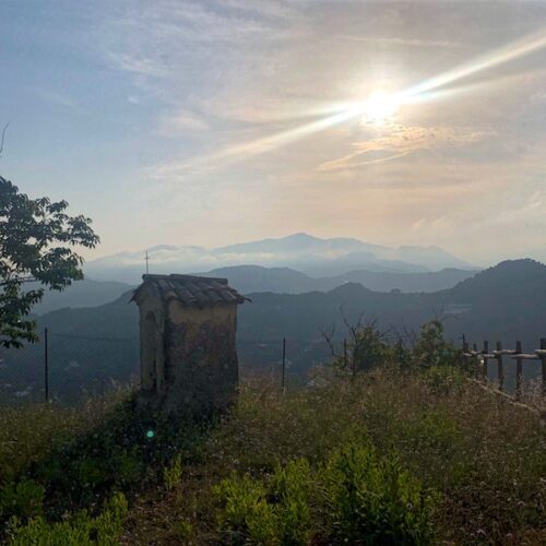 A Guide to the Liguria Wine Region in Northern Italy